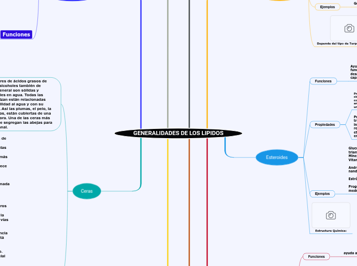 GENERALIDADES DE LOS LIPIDOS - Mind Map